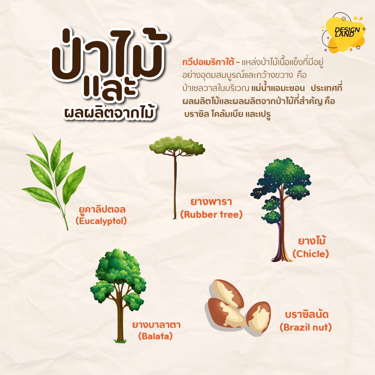 มารู้จัก ทวีปอเมริกาใต้ กันเถอะ Design Land Club